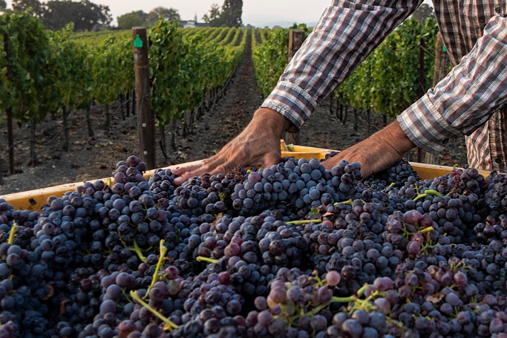 Hope Family Wines | Winery & Tasting Room - Paso Robles, CA