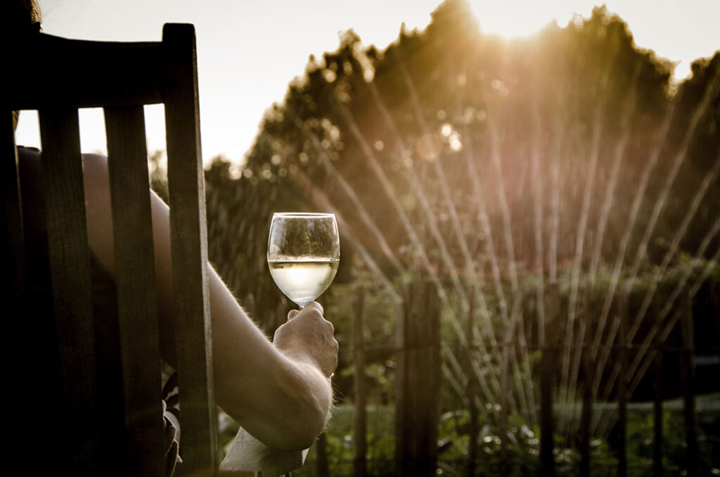 Best Wines to Drink During the Summer | Hope Family Wines